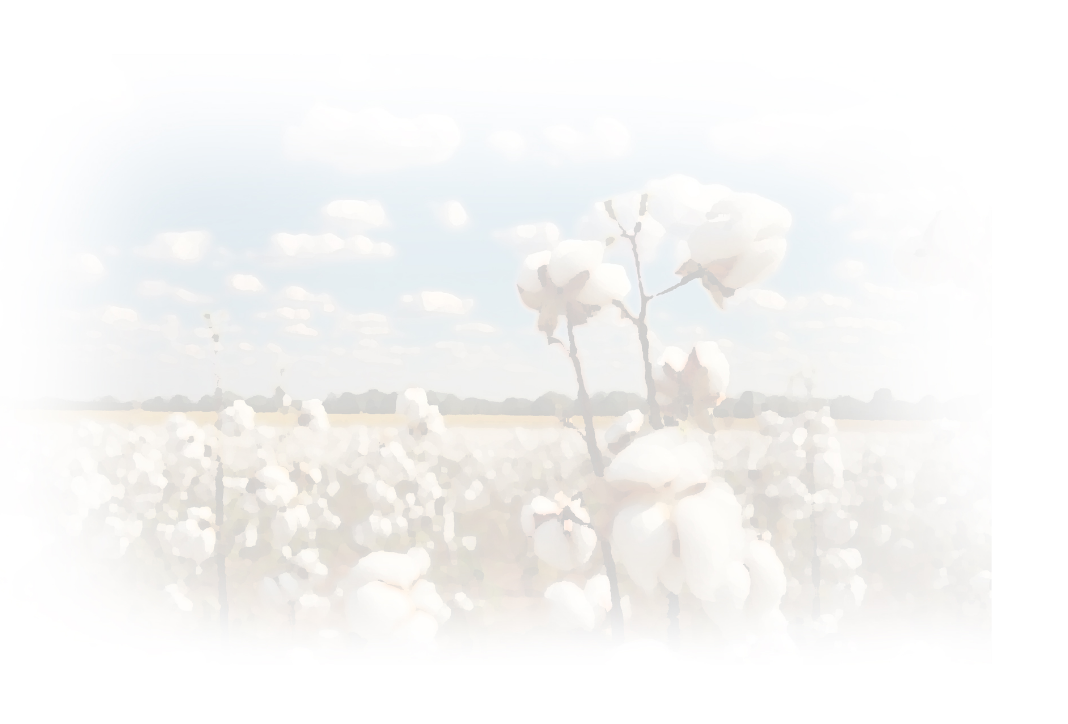 Pasha Fabrics | Solitaire Plus - Elegance Beyond Excellence - Luxury ...