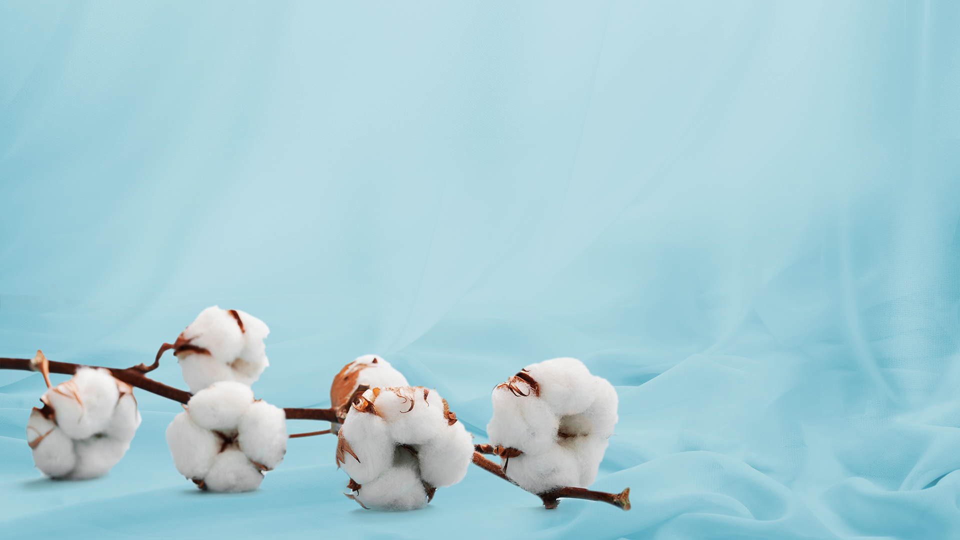 Order Summer Dream Malmal - Superfine Egyptian Cotton for Monsoons ...